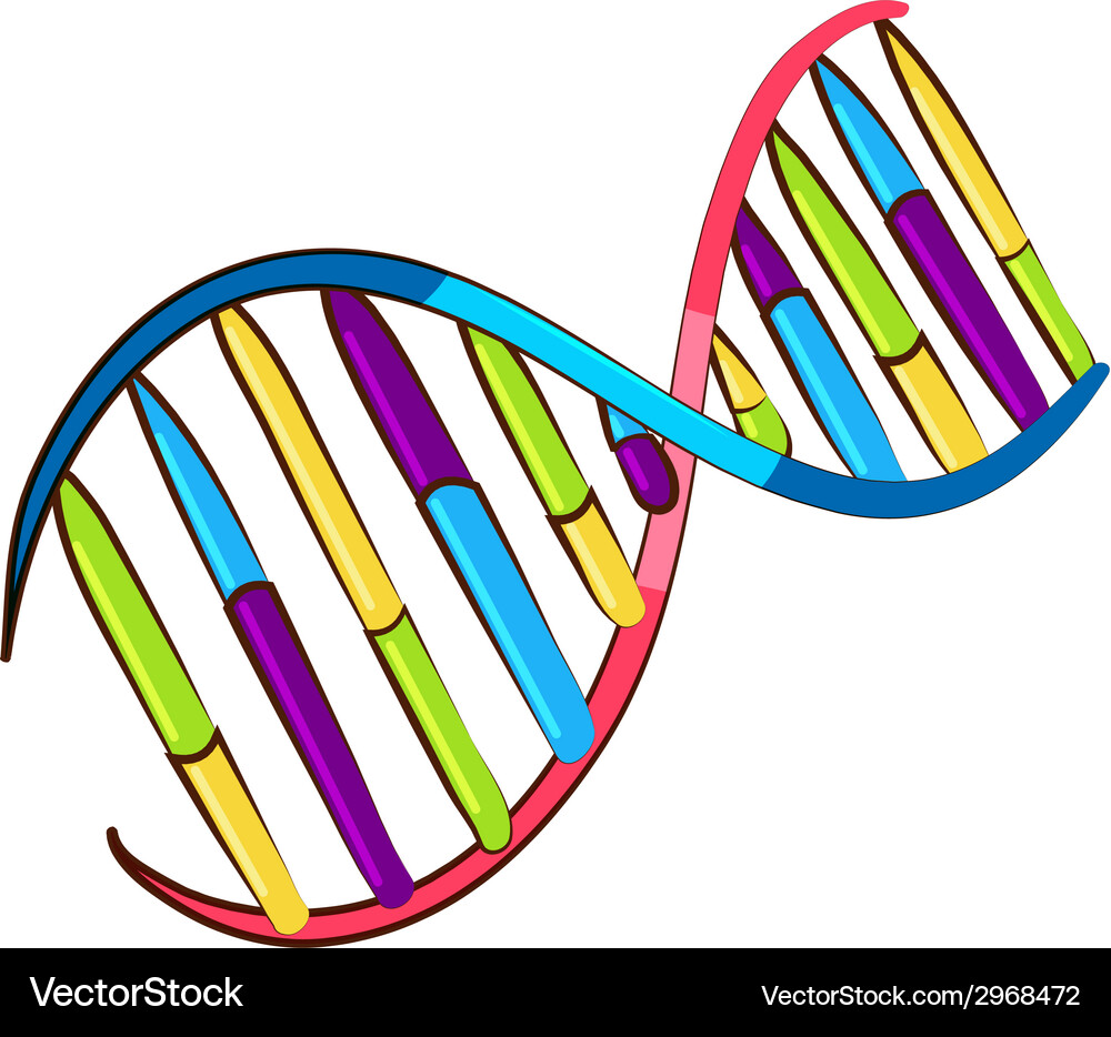 A simple sketch of an experiment Royalty Free Vector Image