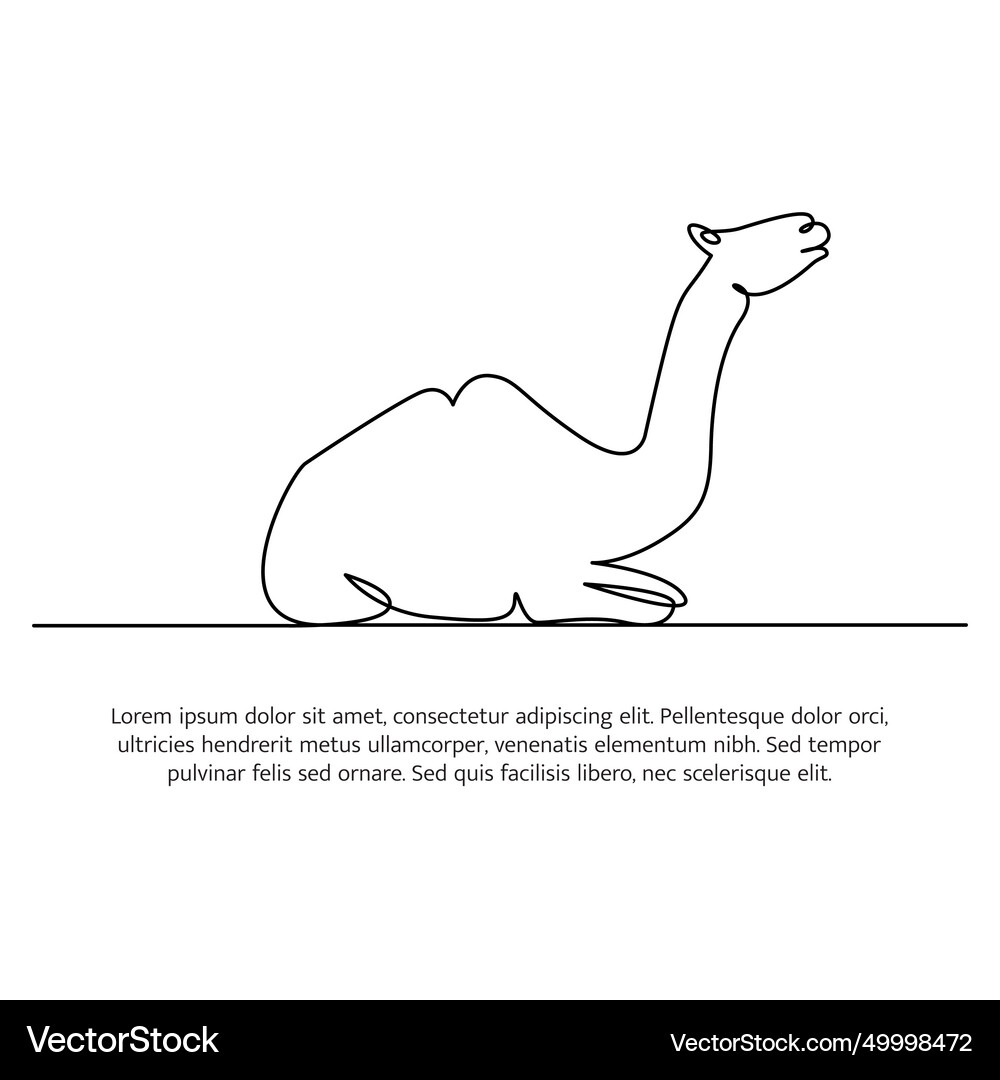 Camel line design simple animal silhouette Vector Image