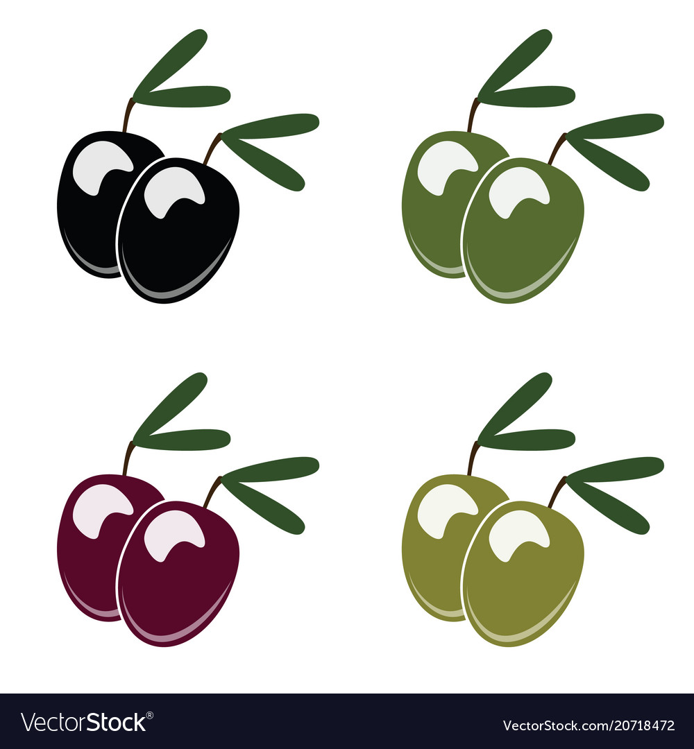 Olive set Royalty Free Vector Image - VectorStock