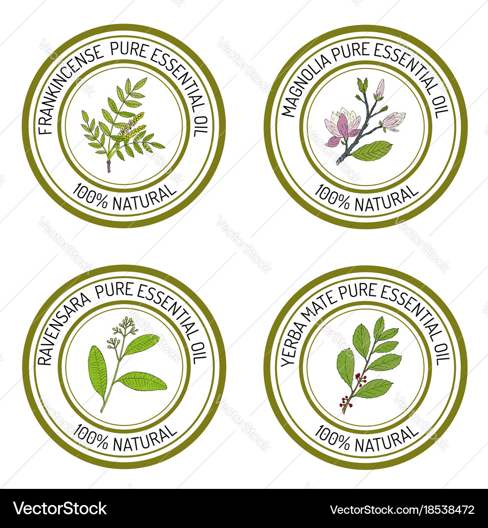 Set of essential oil labels Royalty Free Vector Image