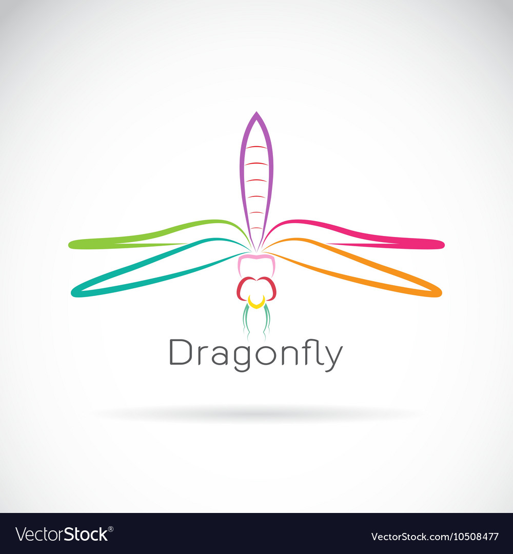 Dragonfly Royalty Free Vector Image - VectorStock