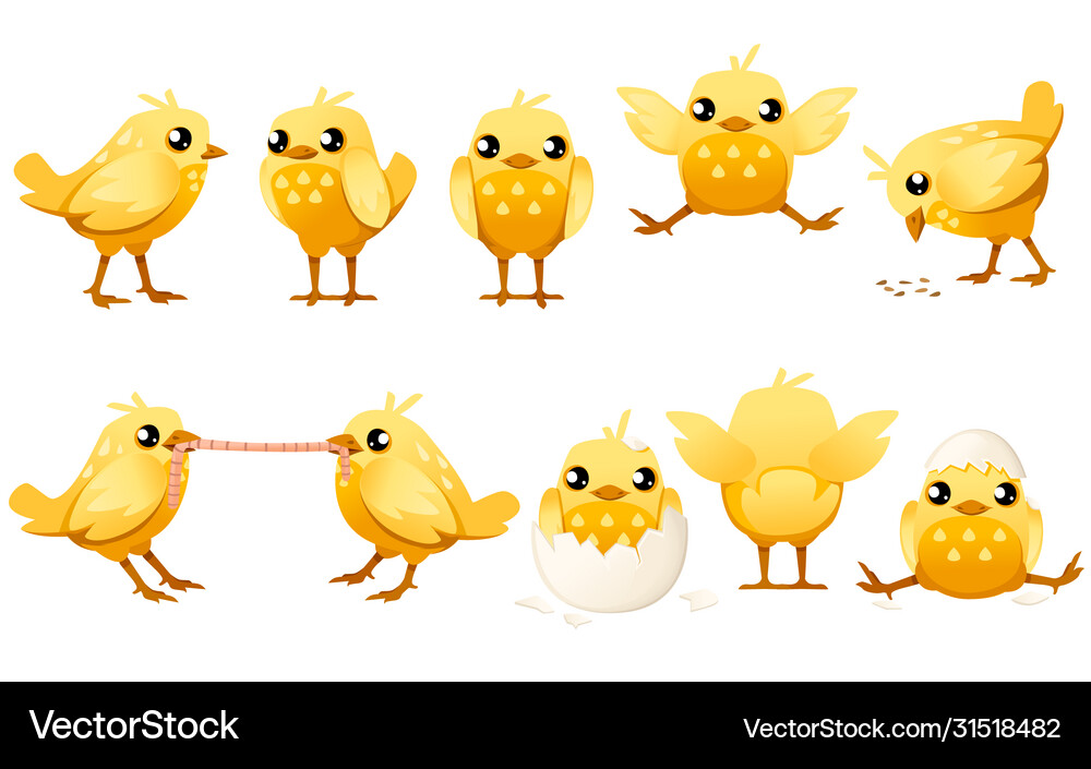Set cute little chick walk side view cartoon Vector Image