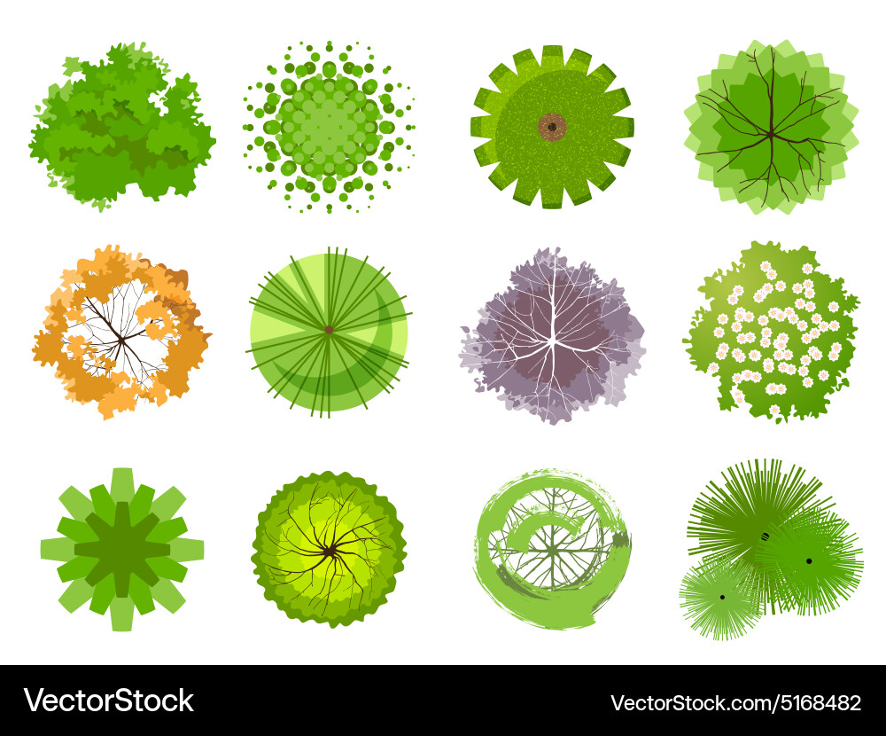 Trees for your own landscape desgns Royalty Free Vector