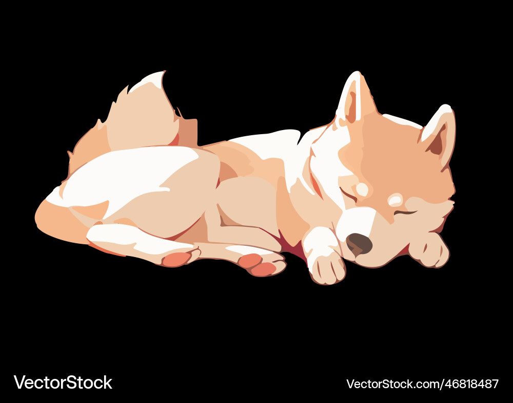 Cute welsh corgi having a nap snugly curled Vector Image