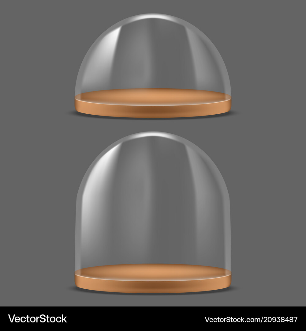 Realistic detailed 3d glass dome set Royalty Free Vector