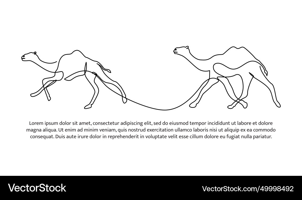 Camel line design simple animal silhouette Vector Image