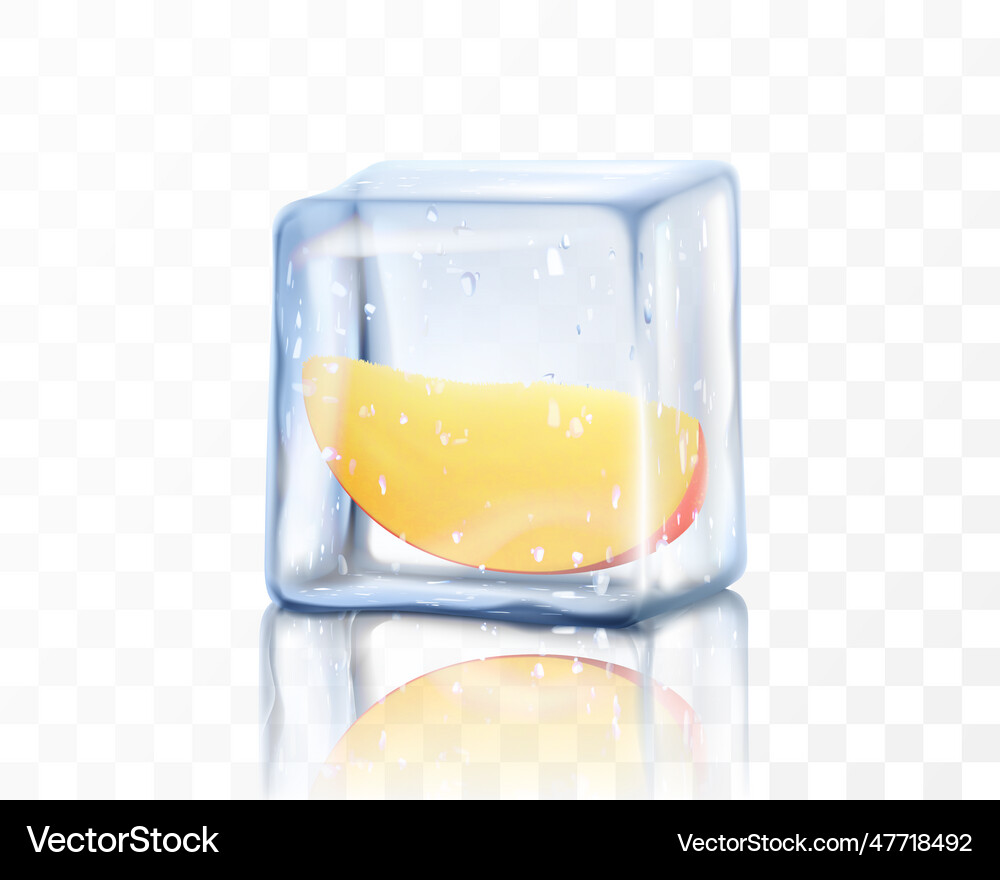 Fresh ripe mango slice in ice cube isolated Vector Image