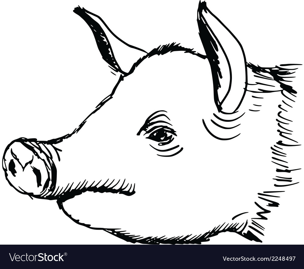 Pig Royalty Free Vector Image - VectorStock