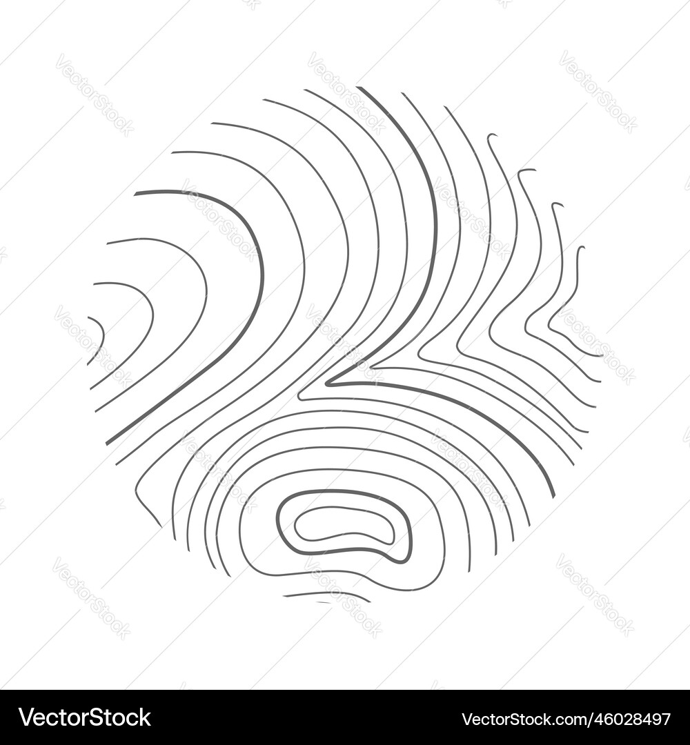 Round shape with topographic or wooden texture Vector Image