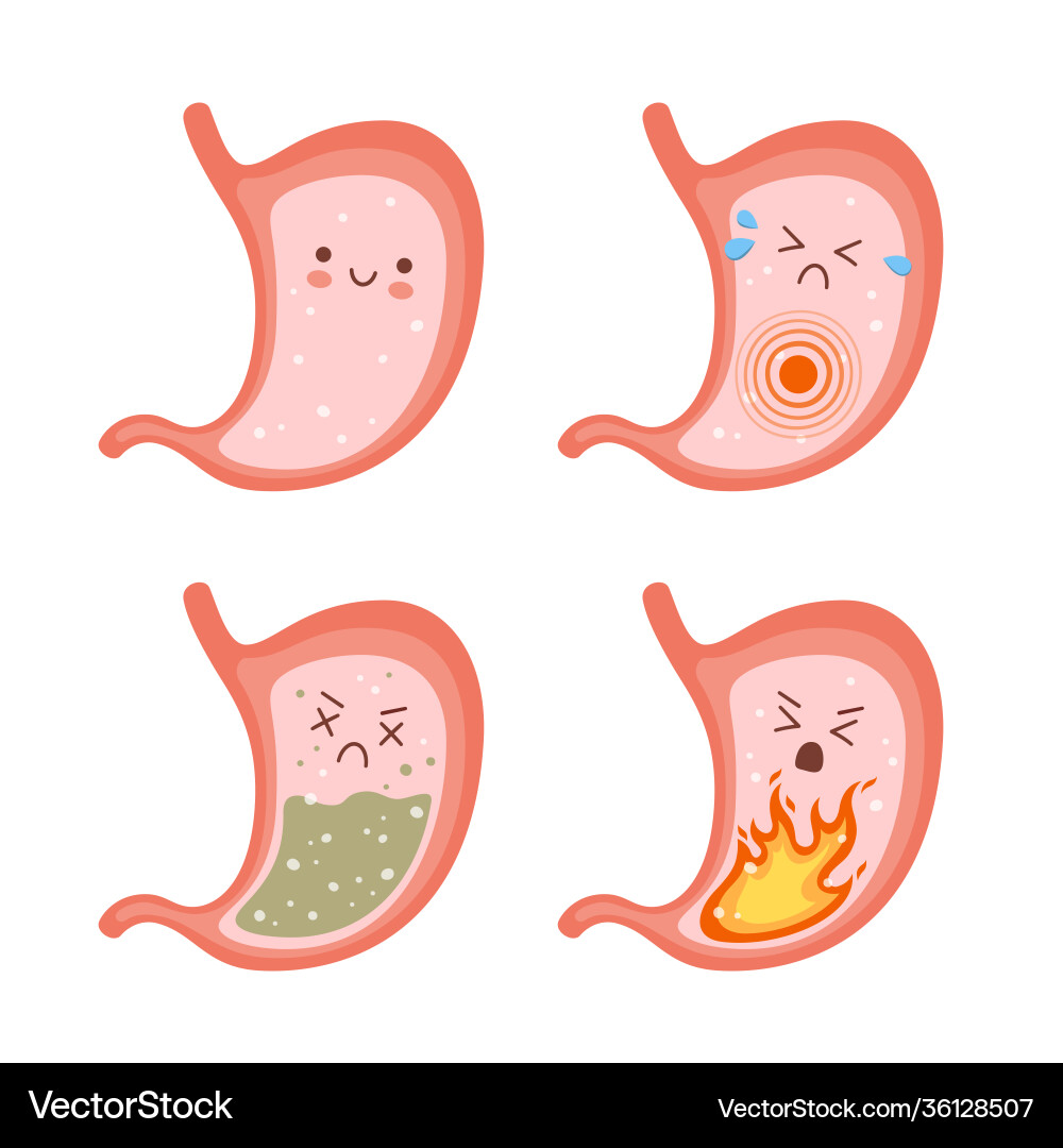 Healthy stomach and sick characters Royalty Free Vector