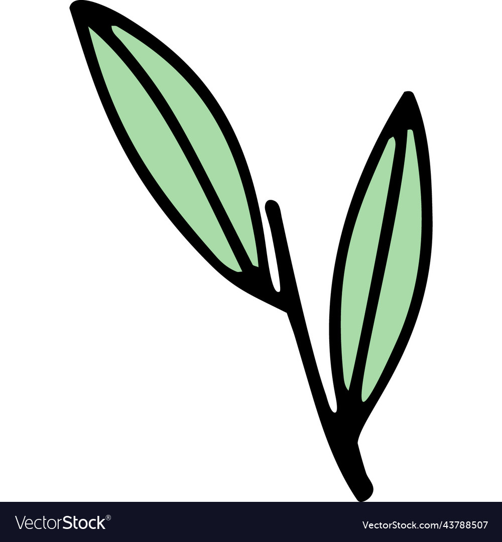 Leaf Twig Doodle Royalty Free Vector Image Vectorstock