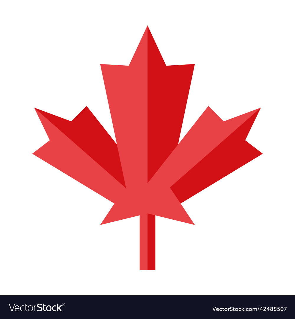 Maple leaf design Royalty Free Vector Image - VectorStock