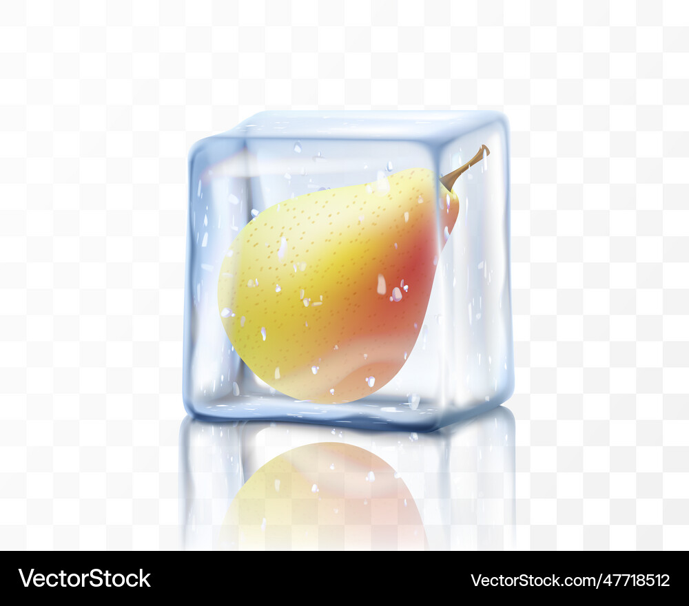 Fresh ripe pear in ice cube isolated Royalty Free Vector