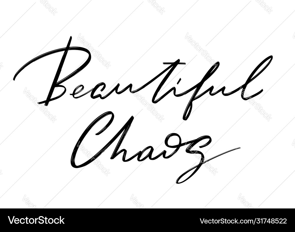Beautiful chaos hand drawn lettering isolated Vector Image