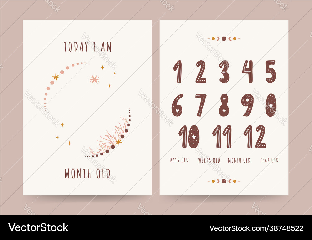 Kids milestone cards nursery posters capturing Vector Image