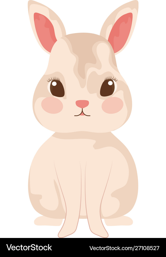 Cute and adorable bunny with white background Vector Image