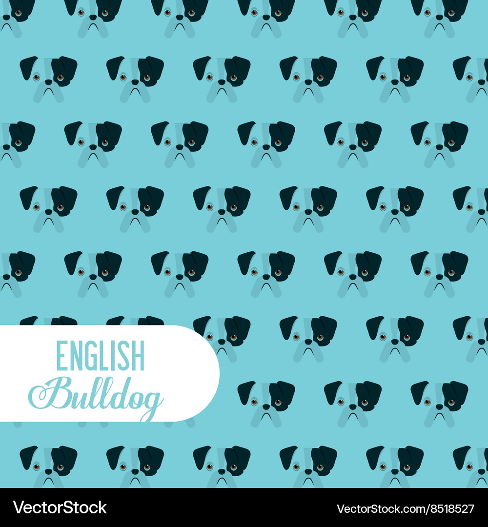 English bulldog design Royalty Free Vector Image