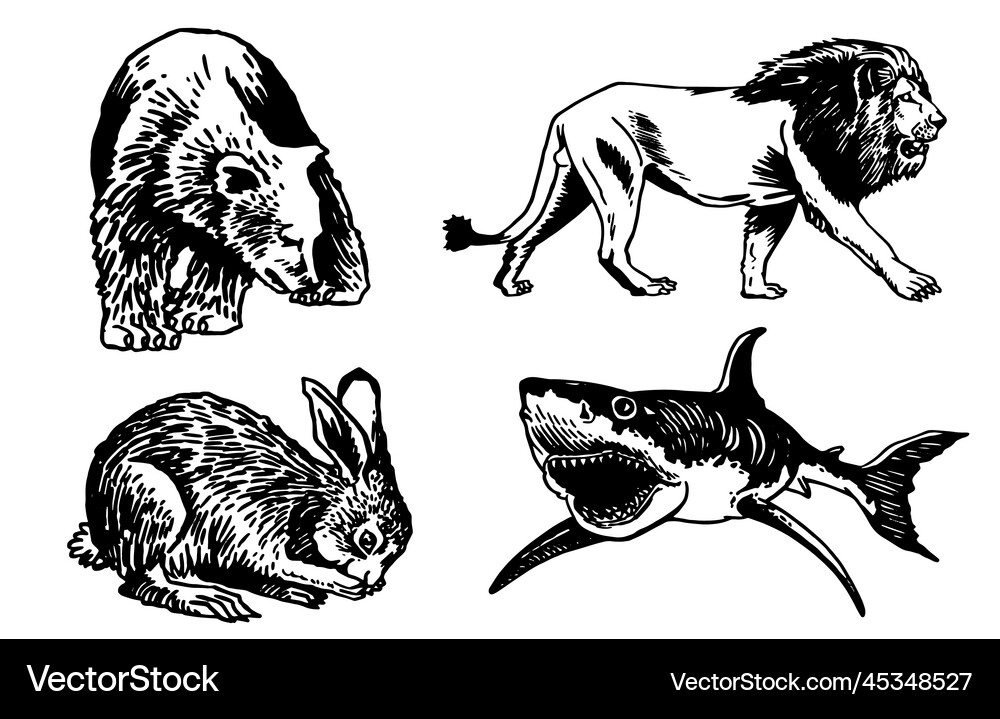 Graphical set of animals isolated on white Vector Image