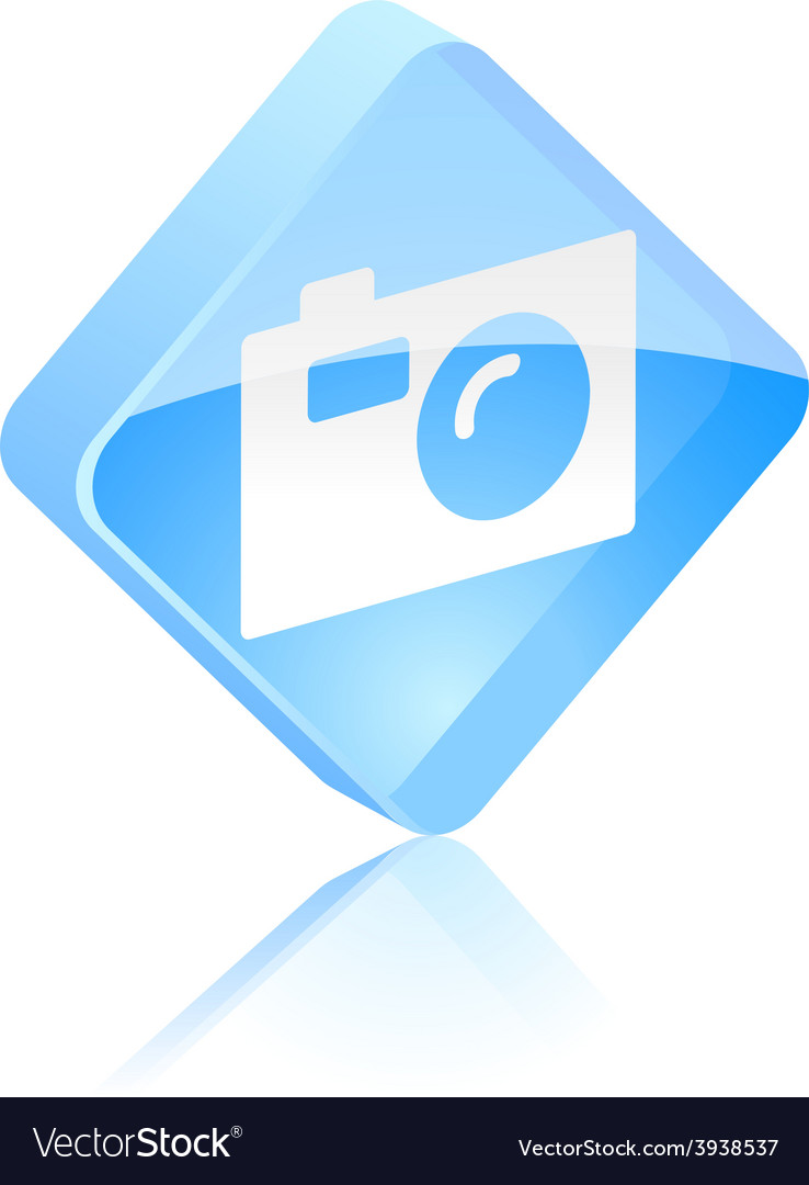 Photo button Royalty Free Vector Image - VectorStock