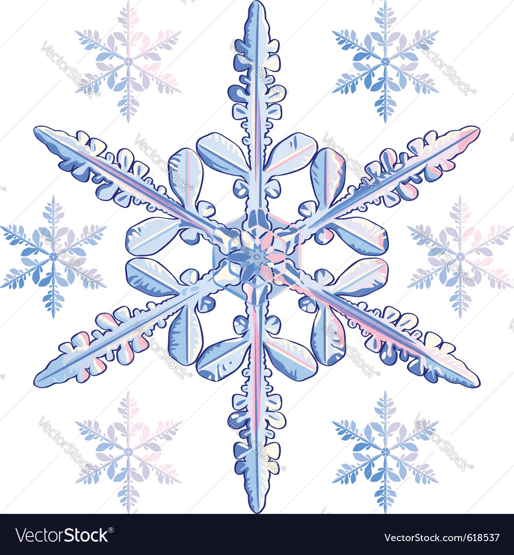 Snowflake Royalty Free Vector Image - VectorStock