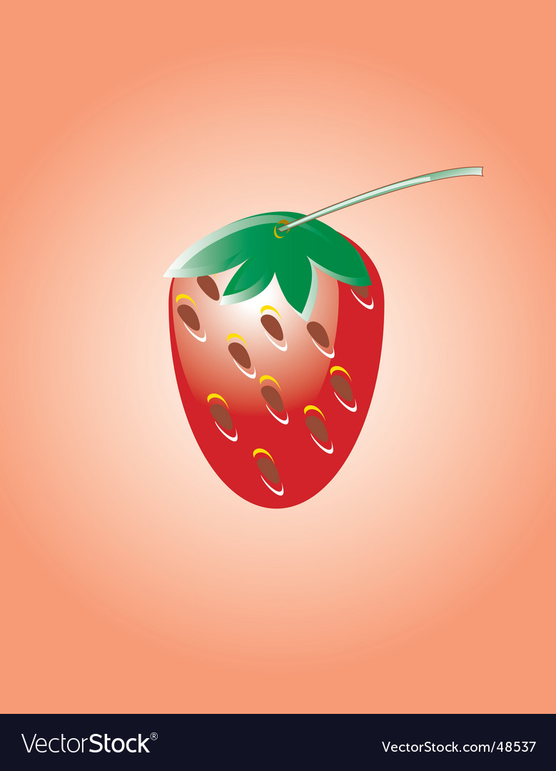 Strawberry Royalty Free Vector Image - VectorStock