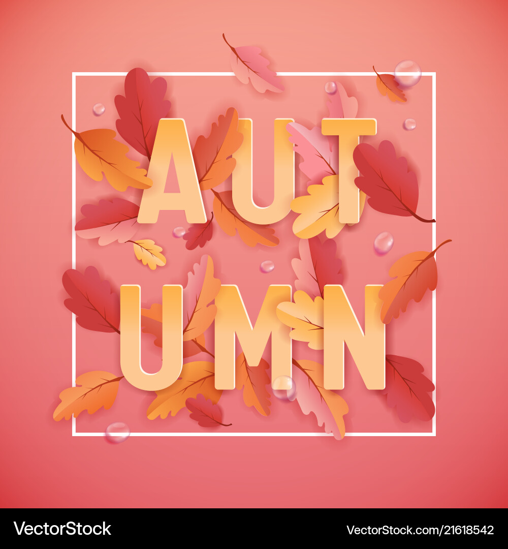 Autumn background template with beautiful leaves Vector Image