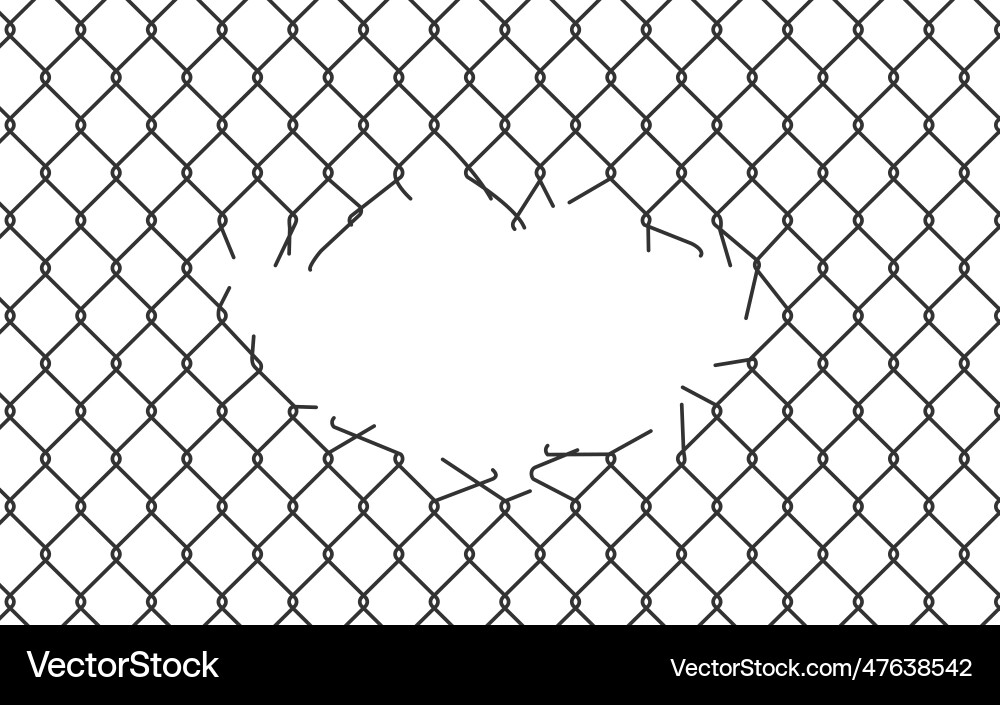 Broken wire mesh fence rabitz or chain link fence Vector Image