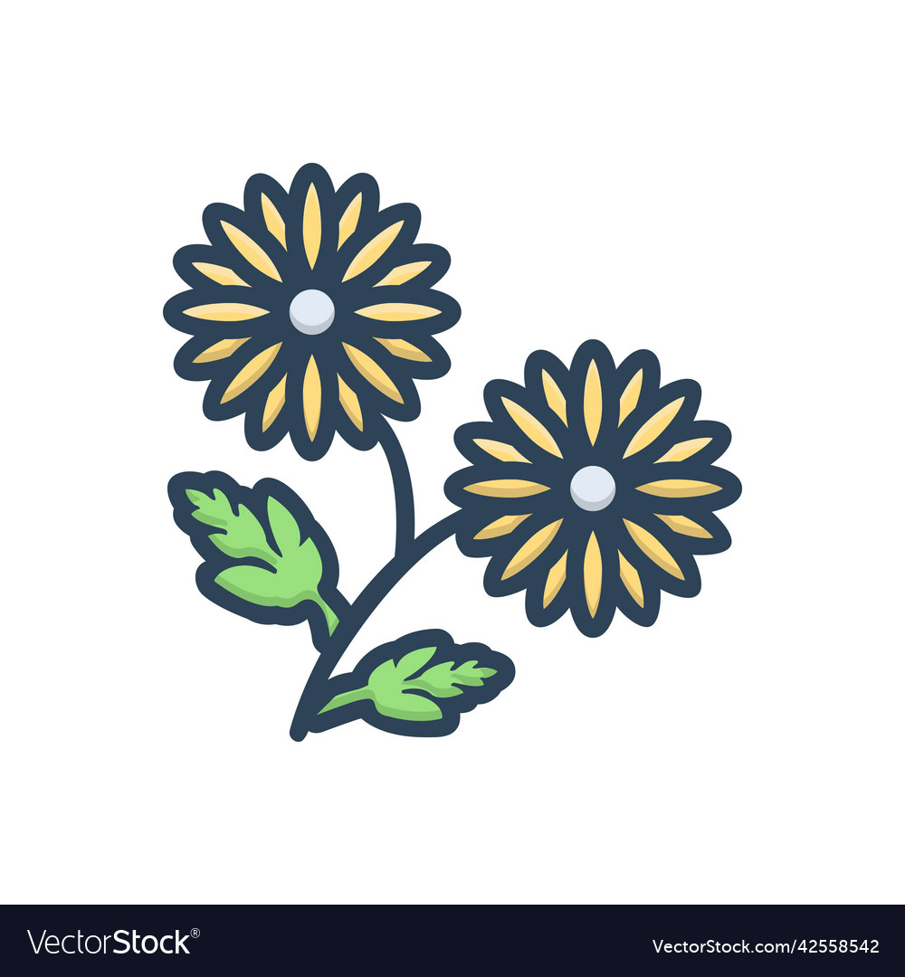 Daisy Royalty Free Vector Image - VectorStock