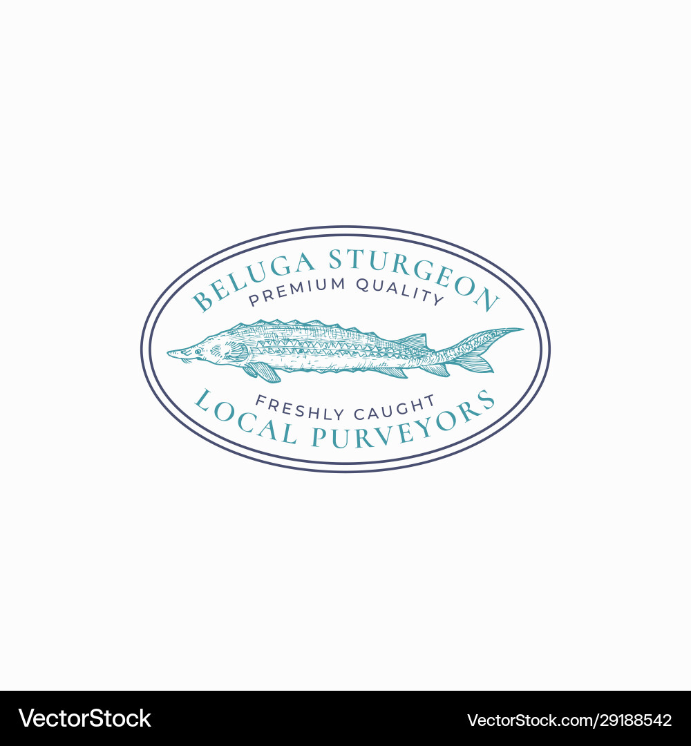 Fish vintage frame badge or logo template hand Vector Image