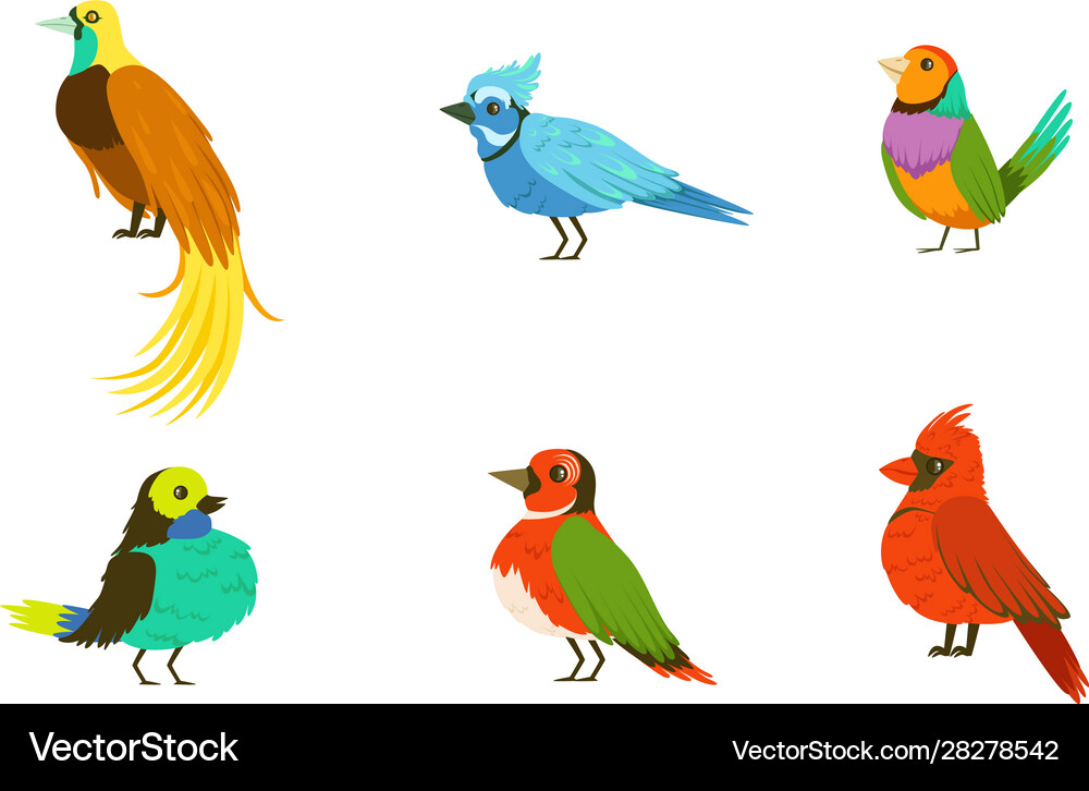 Tropical birds collection beautiful birdies Vector Image