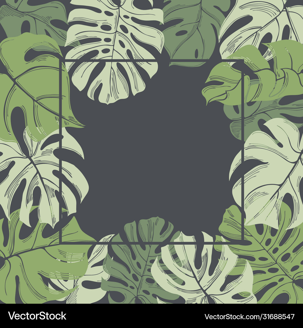 Background with hand drawn monstera leaves Vector Image