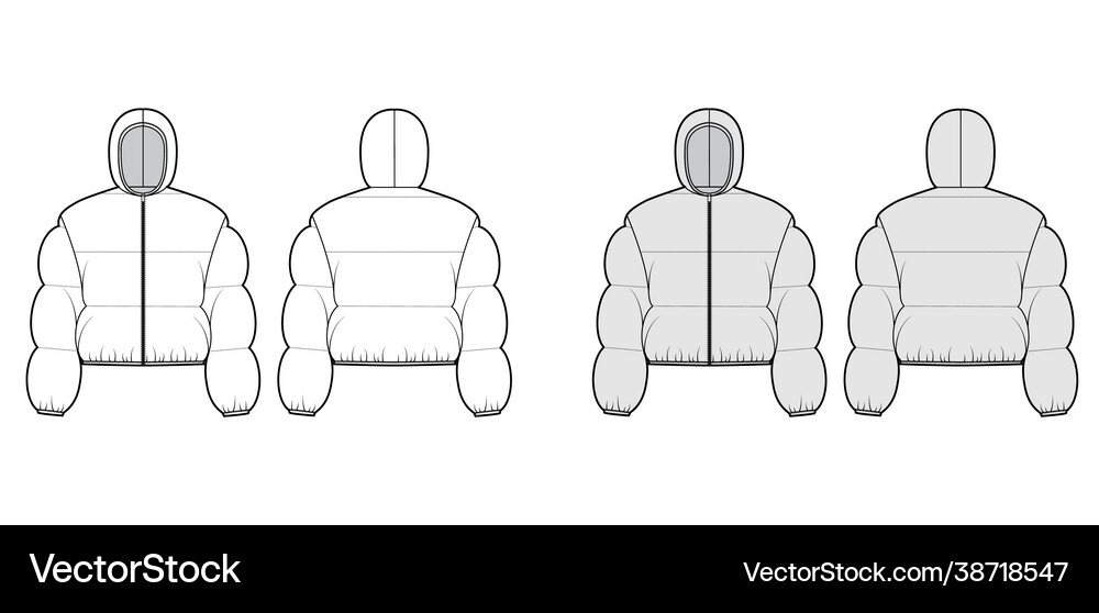 Hooded jacket down puffer coat technical fashion Vector Image