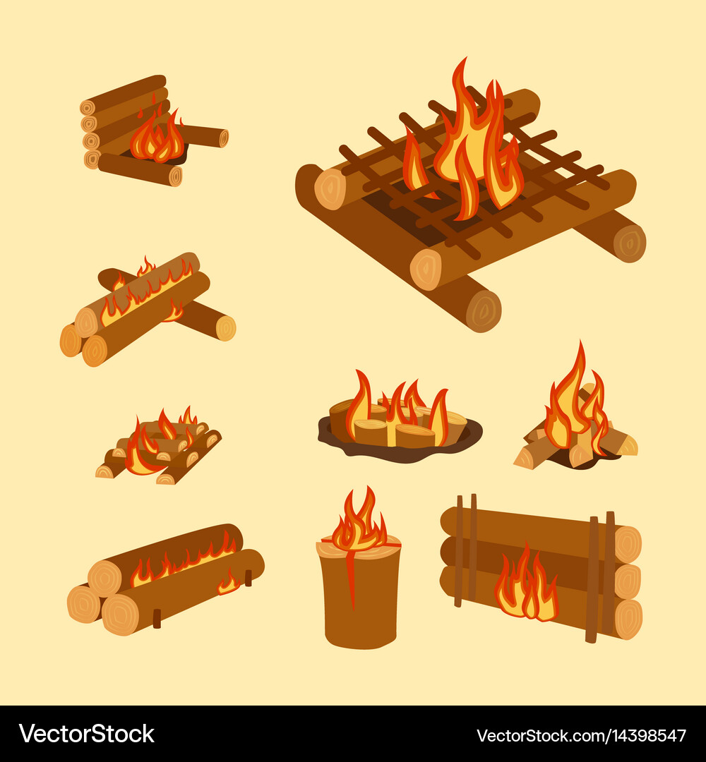 Isolated of campfire logs burning Royalty Free Vector Image