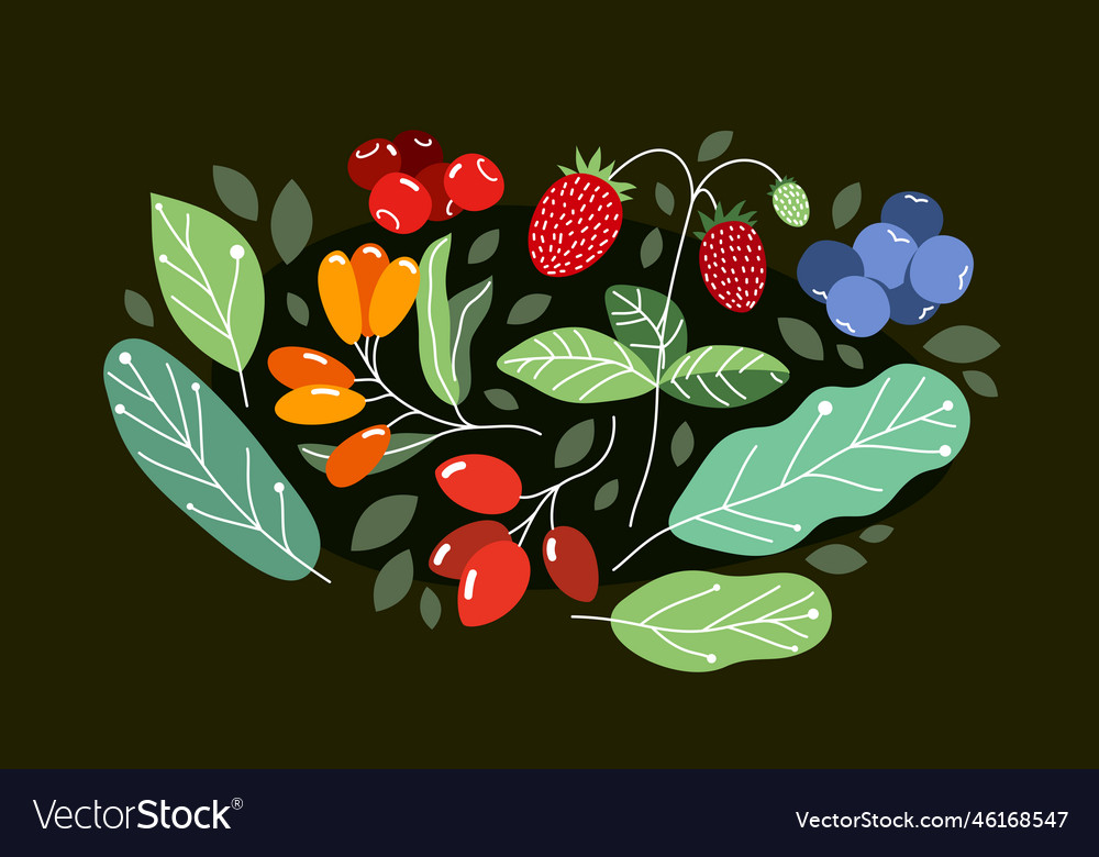 Wild berries fresh and ripe tasty healthy food Vector Image