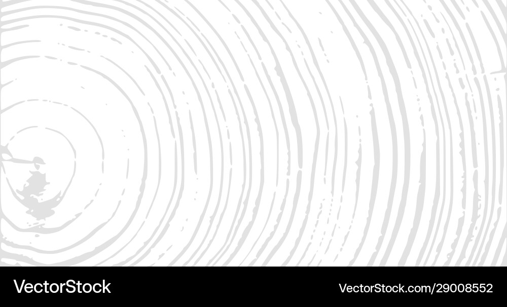 Wood material surface tree age rings texture Vector Image