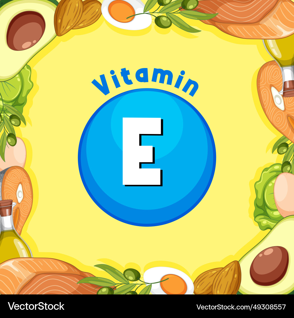Educational group of foods containing vitamin e Vector Image