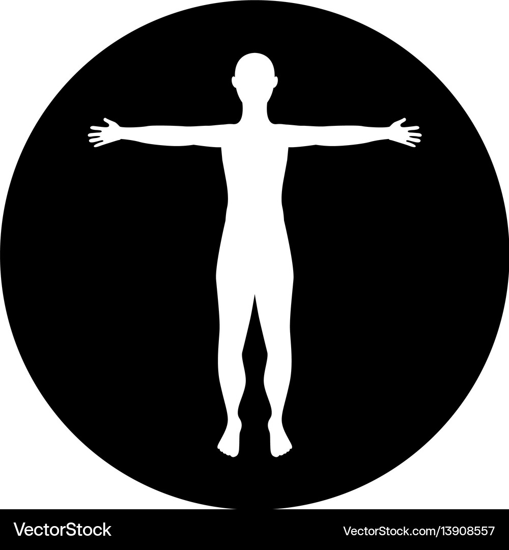 Man anatomy silhouette isolated icon Royalty Free Vector