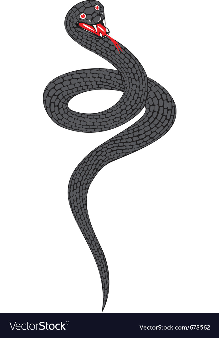 Snake Royalty Free Vector Image - VectorStock