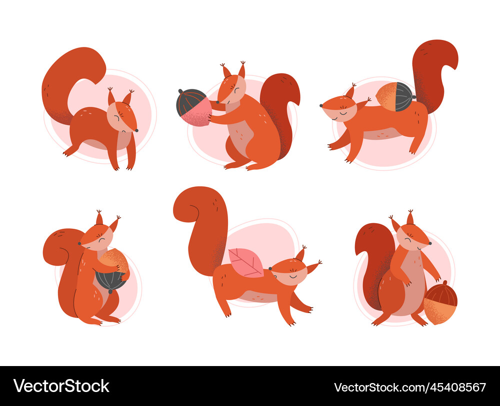 Cute funny squirrel set wild forest animal with Vector Image