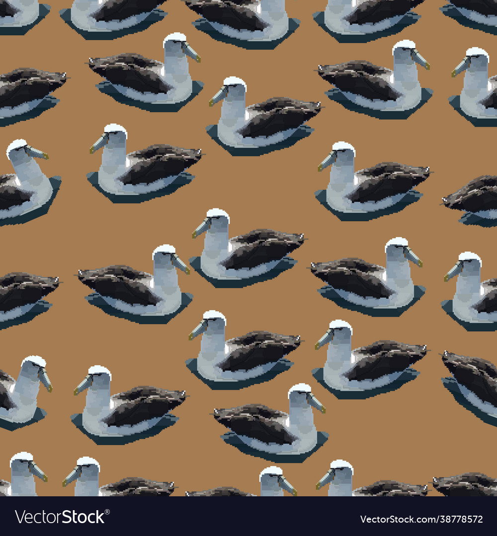 Albatross pattern Royalty Free Vector Image - VectorStock