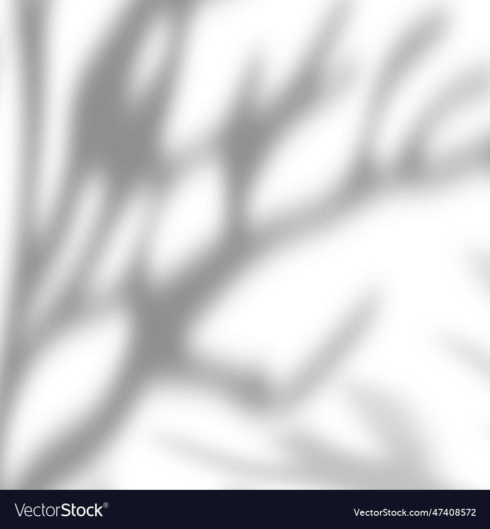 Shadow from tree branches Royalty Free Vector Image