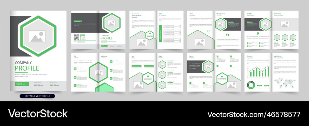 Modern company portfolio template with geometric Vector Image