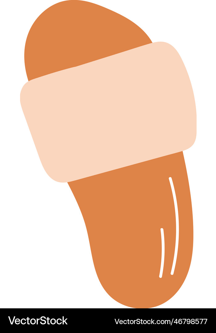 Women slippers shoe Royalty Free Vector Image - VectorStock