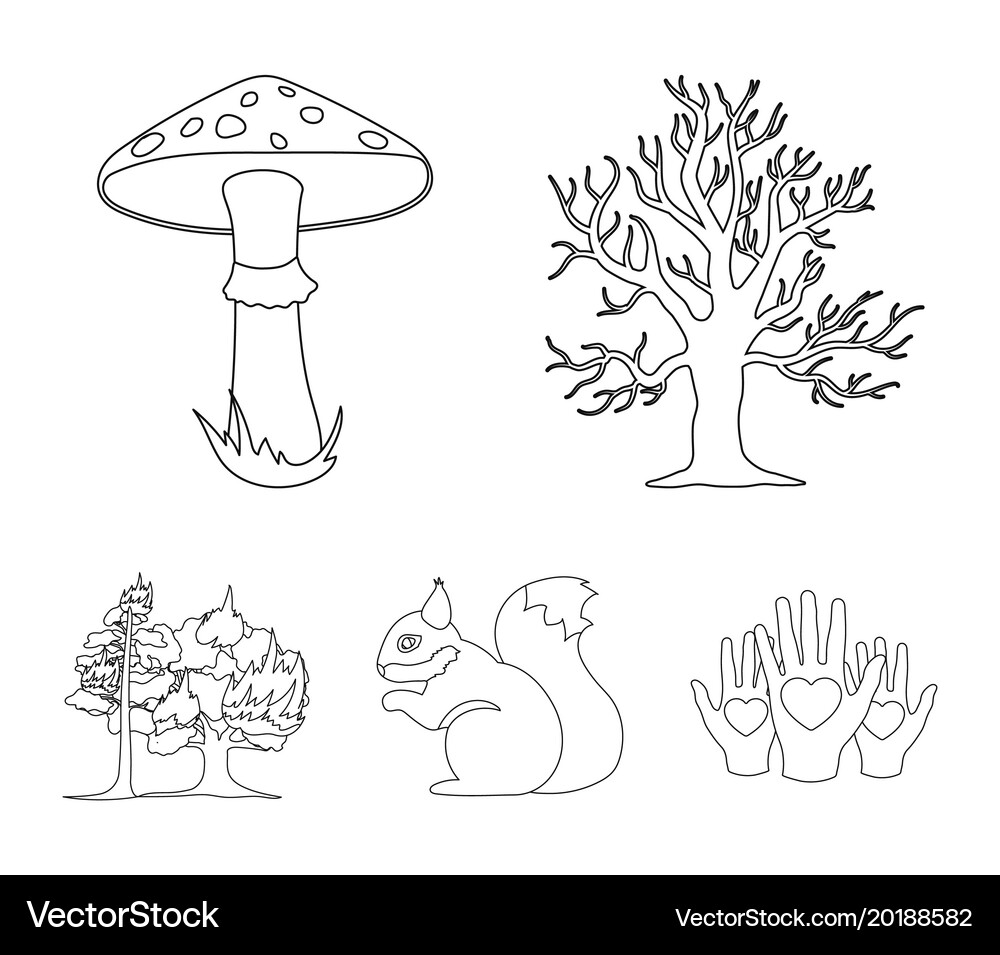Dry tree protein poisonous fungus wildfire Vector Image