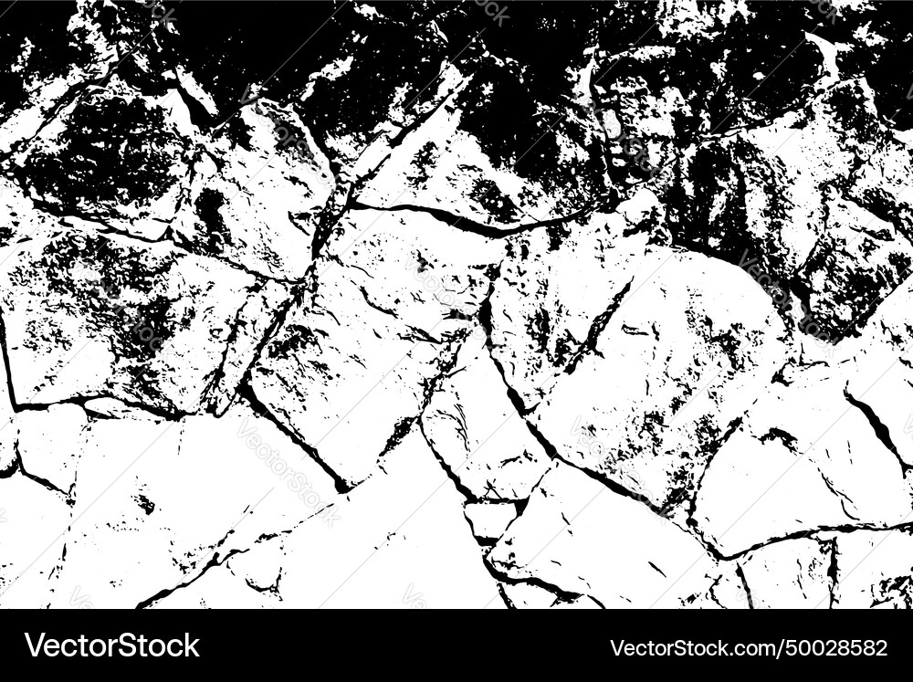 Grunge black and white rock wall textured Vector Image
