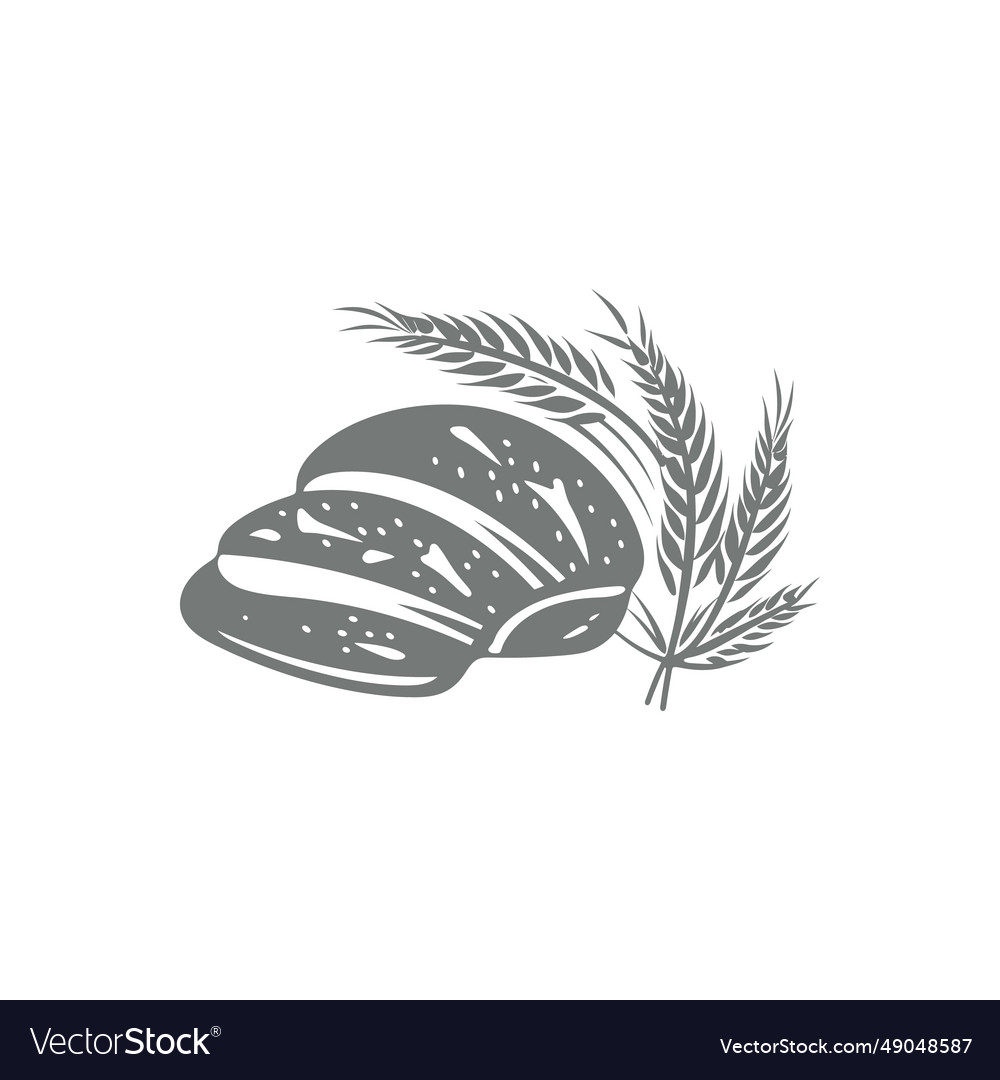 Bread roll assortment Royalty Free Vector Image