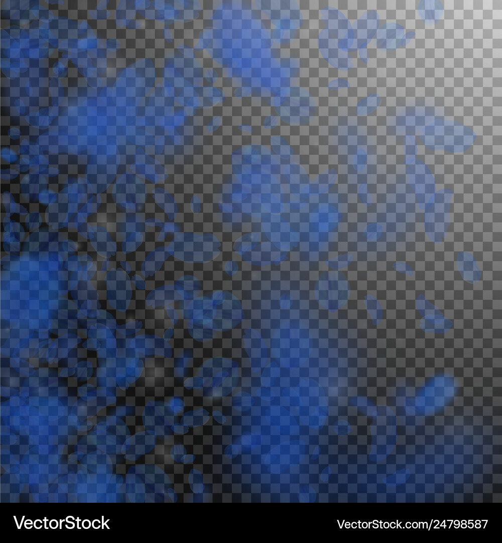 Dark blue flower petals falling down decent roman Vector Image