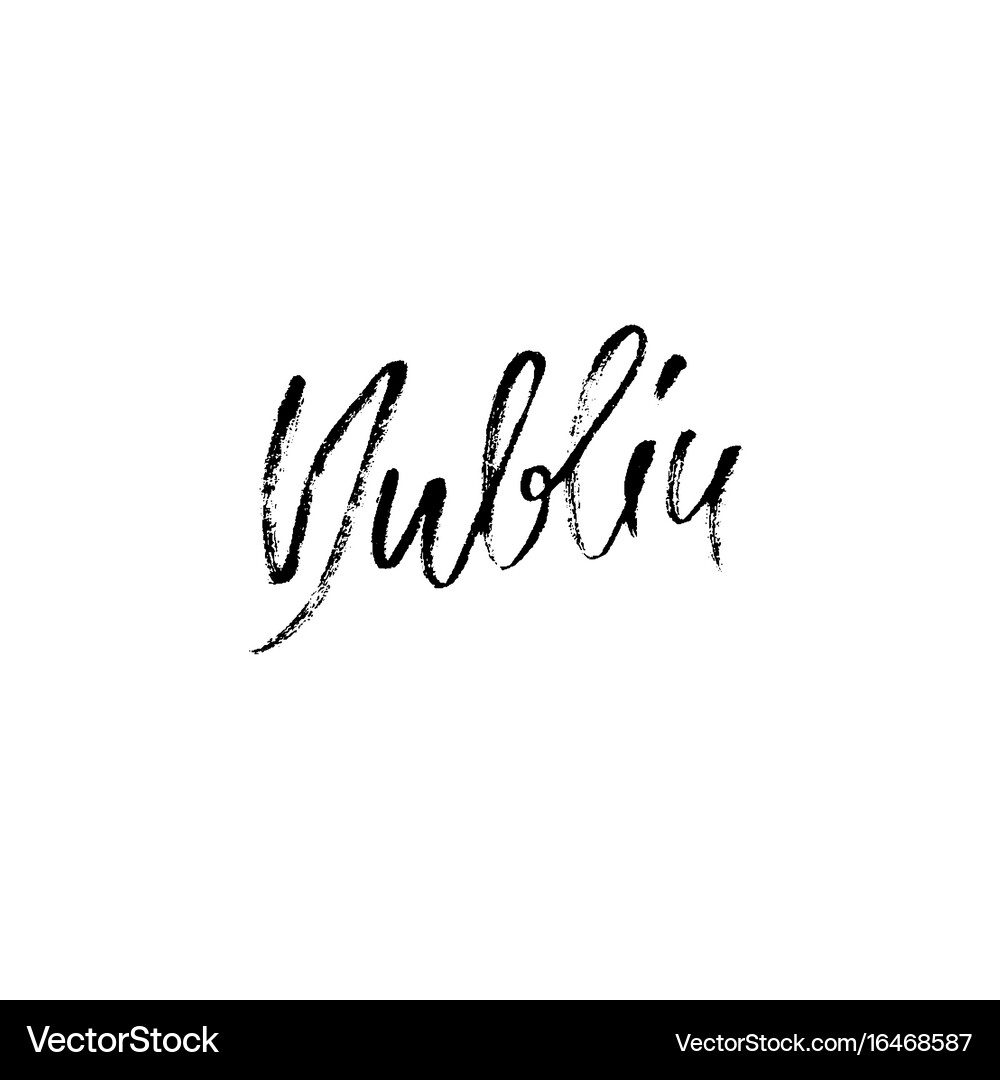 Dublin city typography lettering design hand Vector Image