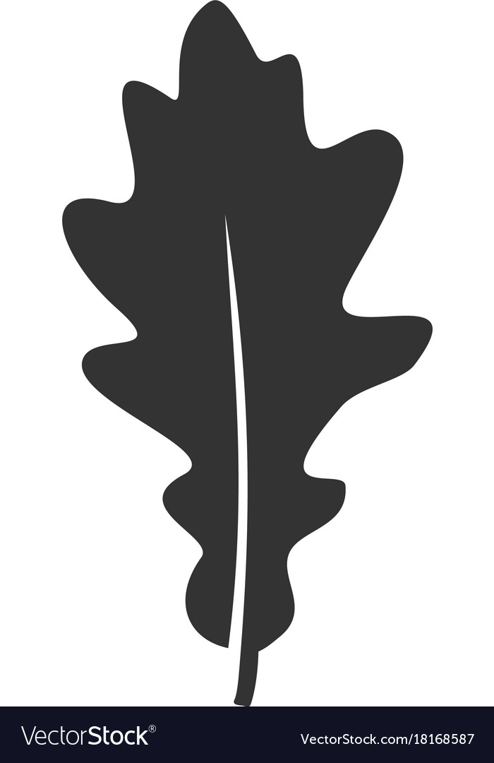 Oak leaf flat icon Royalty Free Vector Image - VectorStock