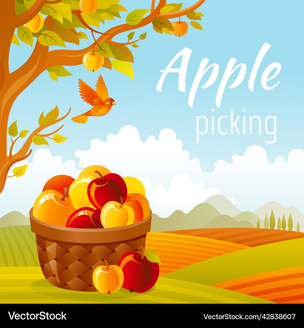 Apple basket in orchard fruit farm Royalty Free Vector Image